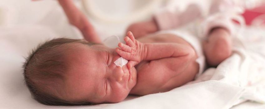 Continuemos con el Calostro